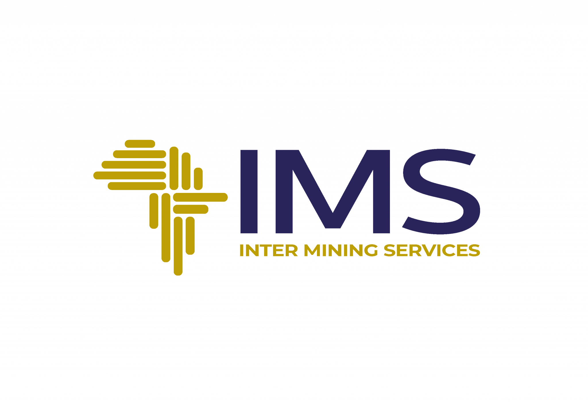 IMS – SAER-GROUP